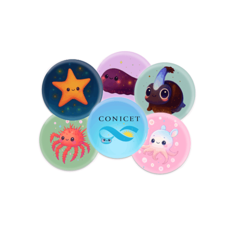 Set Pines Prendedores - CONICET - VALU® Gráfica Creativa
